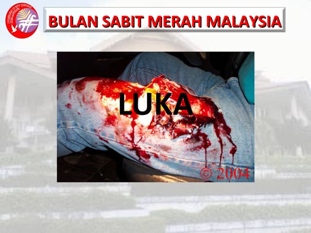 Pembalut dan Balutan (PBSM) | PPT