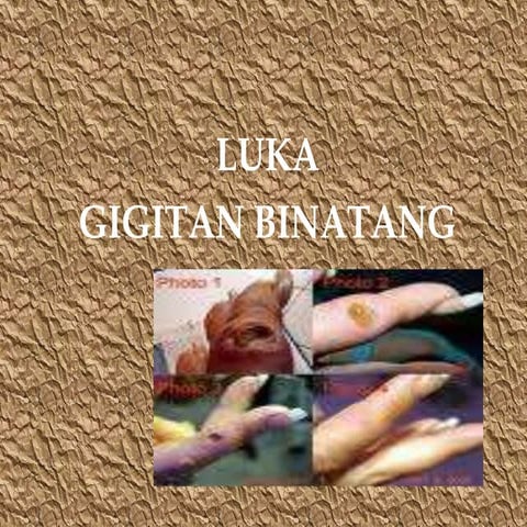 Luka gigitan binatang | PPTX