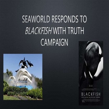 Black Fish Documentary Analysis | PPTX