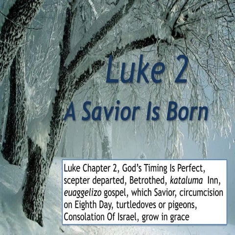 Luke 2, God’s Timing Is Perfect, scepter departed, Betrothed, kataluma ...