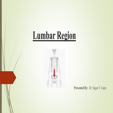 Transitional vertebrae radiology | PPTX