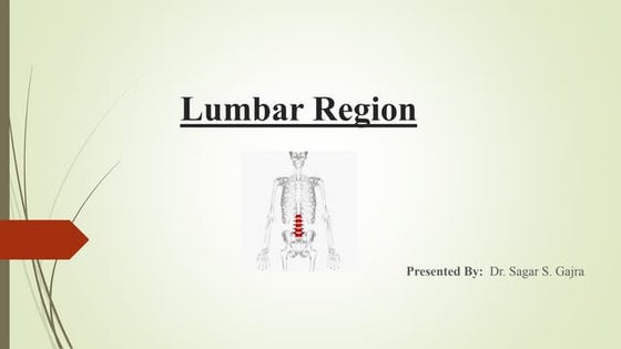 Anatomy and biomechanics of lumbar spine | PPT