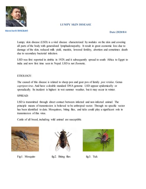 Red blood cell formation and fate of RBC | PDF | Blood Disorders ...