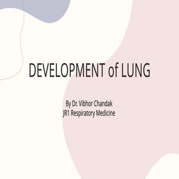 Lung development.pptx embryonic stages of lung | PPTX