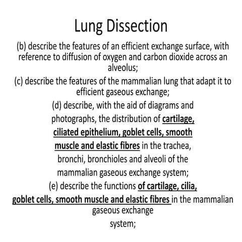 Lung dissection lesson 3 | PPTX