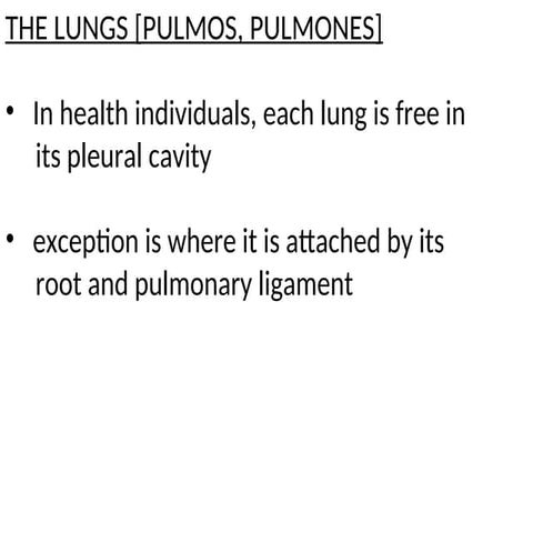 lungs anatomy | PPTX