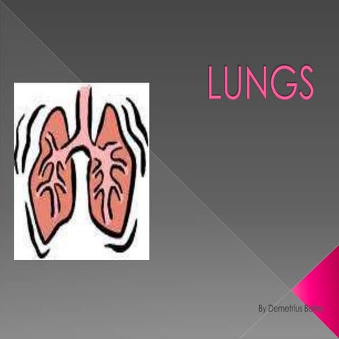 The lungs presentation ch.2 | PPTX
