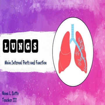 LUNGS.pptx