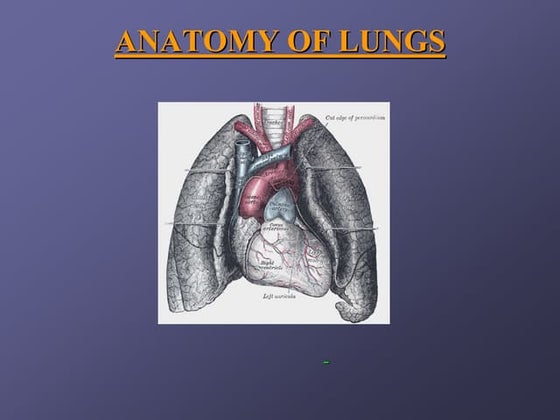 Lung Anatomy Ppt Normal Lung Anatomy PI UpToDate
