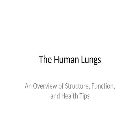 Lungs presentation with short and simple explanation | PPTX
