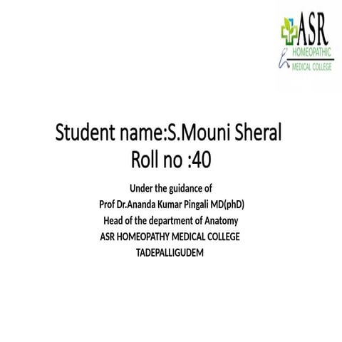 lung surface markings by mouni sheral.pptx