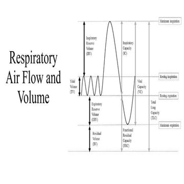 lung volume and capacity - lecture.pptx