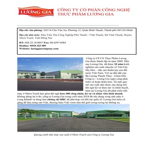 Luong gia profile | PDF