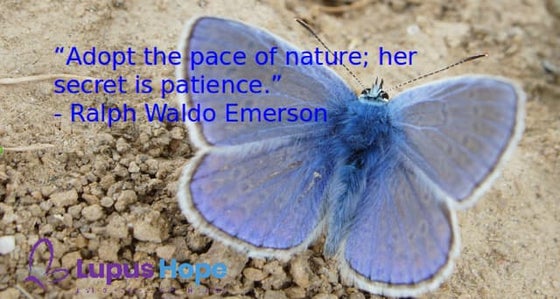 Lupus Hope - Love Heals | PDF