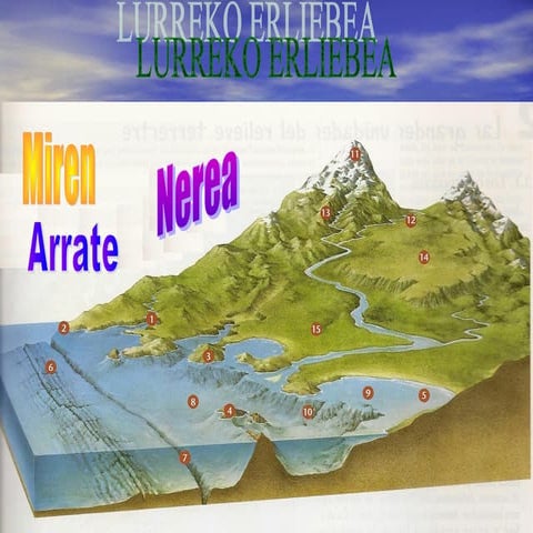 Lurreko erliebea | PPT