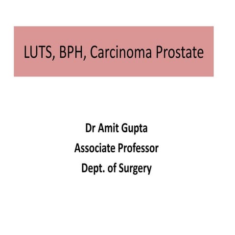 Lutsbphcarcinomaprostatelowerurinarytract | PPT
