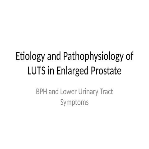 LUTS_in_BPH_Etiology_Presentation_v2.pptx