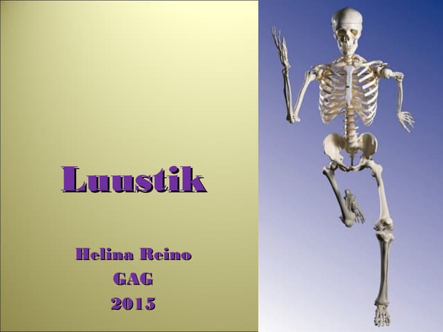 Portfoolio TEST | PDF