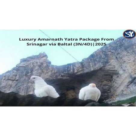 Luxury Amarnath Yatra Package From Srinagar via Baltal .pdf