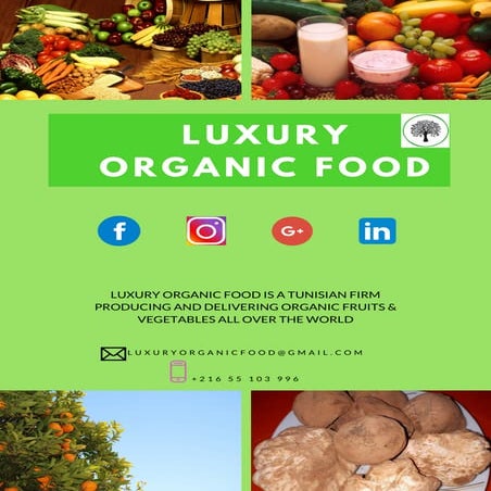 Luxury organic food tunisia | PDF