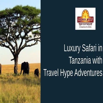 Luxury Africa Safari Tours. pptx | PPTX