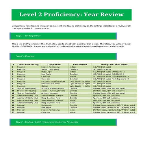 Lv2 prof year review | PDF