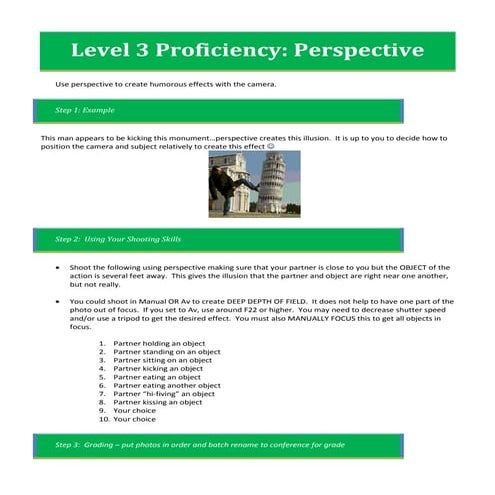 Lv3 prof perspective | PDF
