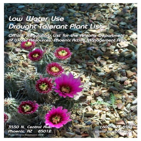 Low Water Use Drought Tolerant Plant List - Glendale - Phoenix, Arizona ...