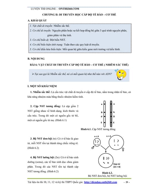quy luat phan ly cua Mendel-NTQuynh | PPTX