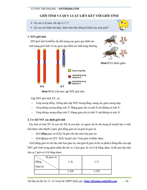 S12 bai 12 di truyen lien ket voi gioi tinh va di truyen ngoainhan | PPT