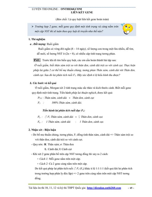 S12 bai 17 cau truc di truyen cua quan th etiep | PPT