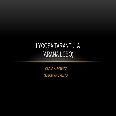 Lycosa tarantula | PPTX