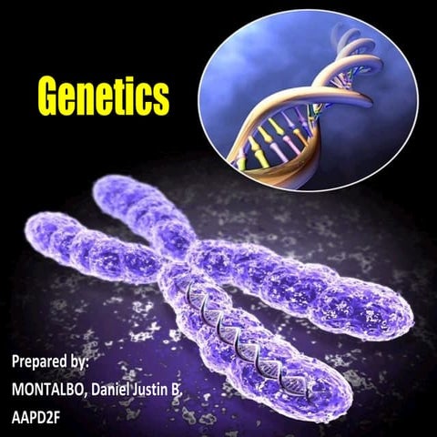 taboo genetics lec ppt | PPT