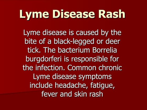 Lyme disease | PPT