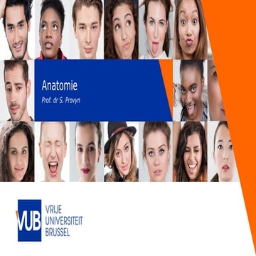 Lymfe 2 van 1ste bach biomedi anatomiepdf | PDF