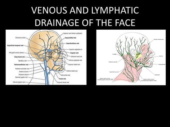 Blood supply of face | PPT