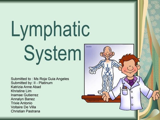 Lymphatic System Notes | PPT