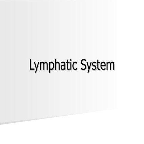 Lymphatic System | PPT