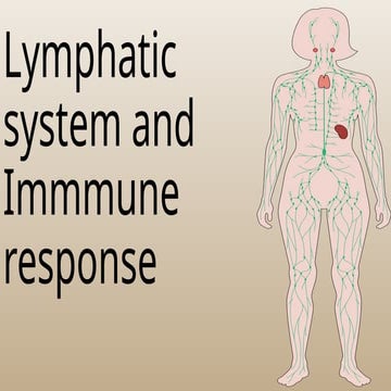 Lymphatic-system-and-Immmune-response.pptx