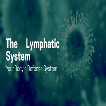 Lymphatic system of the living human beings | PDF