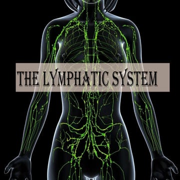 Lymphatic-system-ppt_091950.........pptx