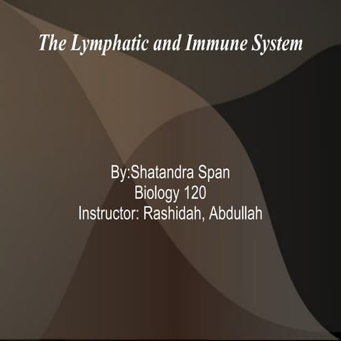 Lymphatic and immune system | ODP | Cancer | Diseases and Conditions