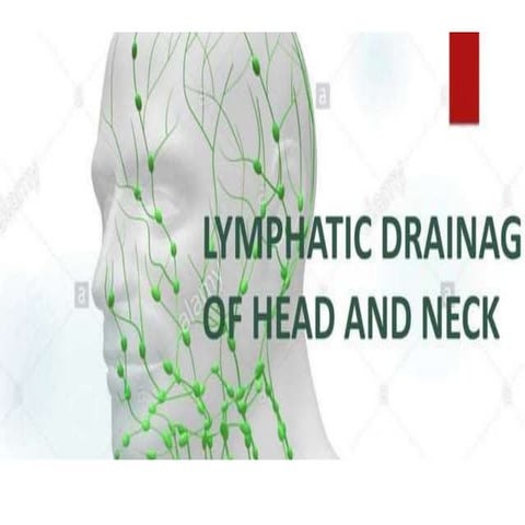 LYMPHATIC DRAINAGE OF HEAD AND NECK | PPT
