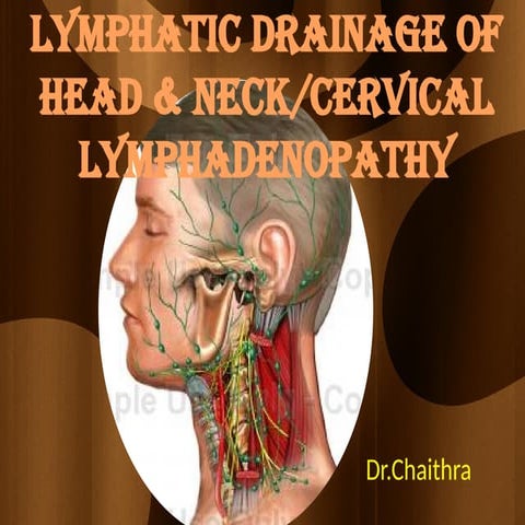 Comprehensive Overview of Lymphatic Drainage and Cervical ...