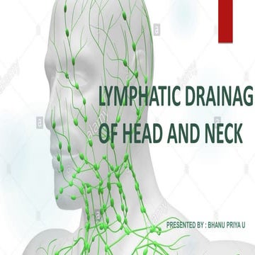 Lymphatic Drainage Of The Head And Neck Teachmeanatomy
