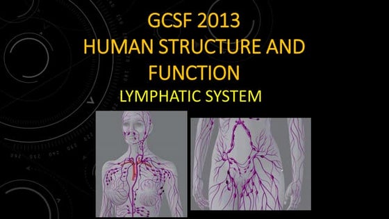 ANATOMY PRESENTATION ON THE LYMPHATIC SYSTEM.pptx