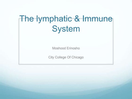Lymphatic Terms | PPT