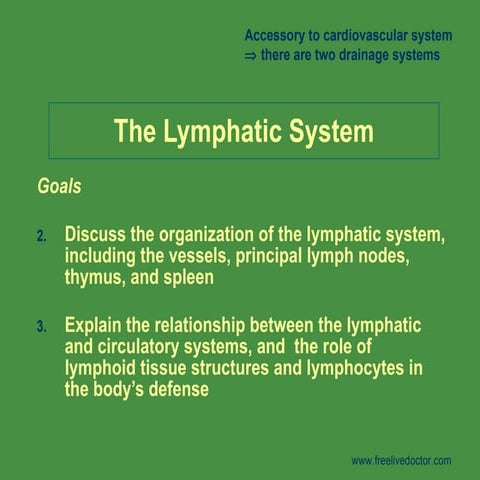 Lymphaticsystem 100311040135-phpapp01 | PPT | Biological Sciences | Science