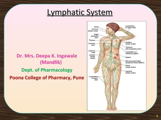 lymphatic system | PPT