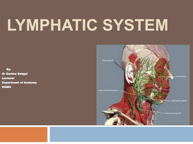 LYMPHATIC DRAINAGE OF GIT.pdf